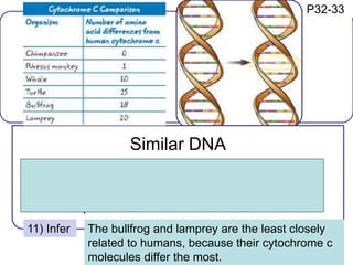 Evidence of Evolution (3).ppt