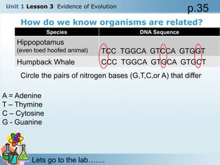 Evidence of Evolution (3).ppt