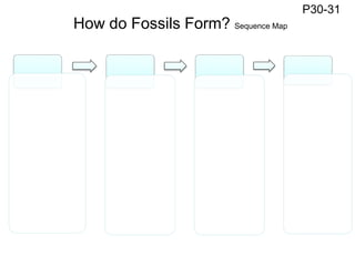 Evidence of Evolution (3).ppt