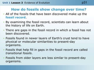 Evidence of Evolution (3).ppt