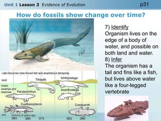 Evidence of Evolution (3).ppt