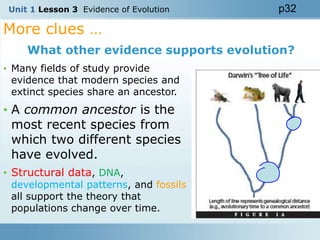 Evidence of Evolution (3).ppt