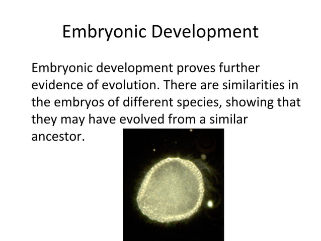 Evidence of evolution biology | PPT