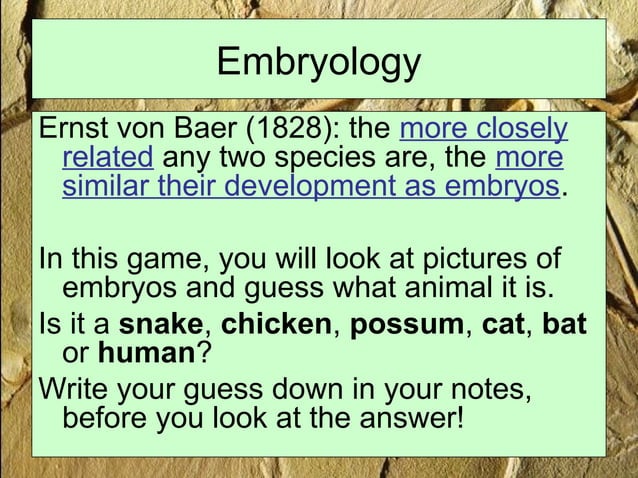 evidence_of_evolution grade 10 learners_ii.ppt