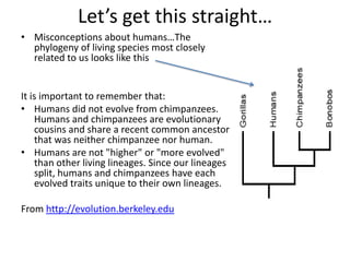 Evidence of evolution ss | PPTX