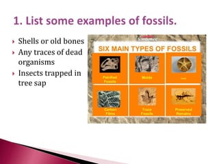 Evidence of Evolution Review | PPTX