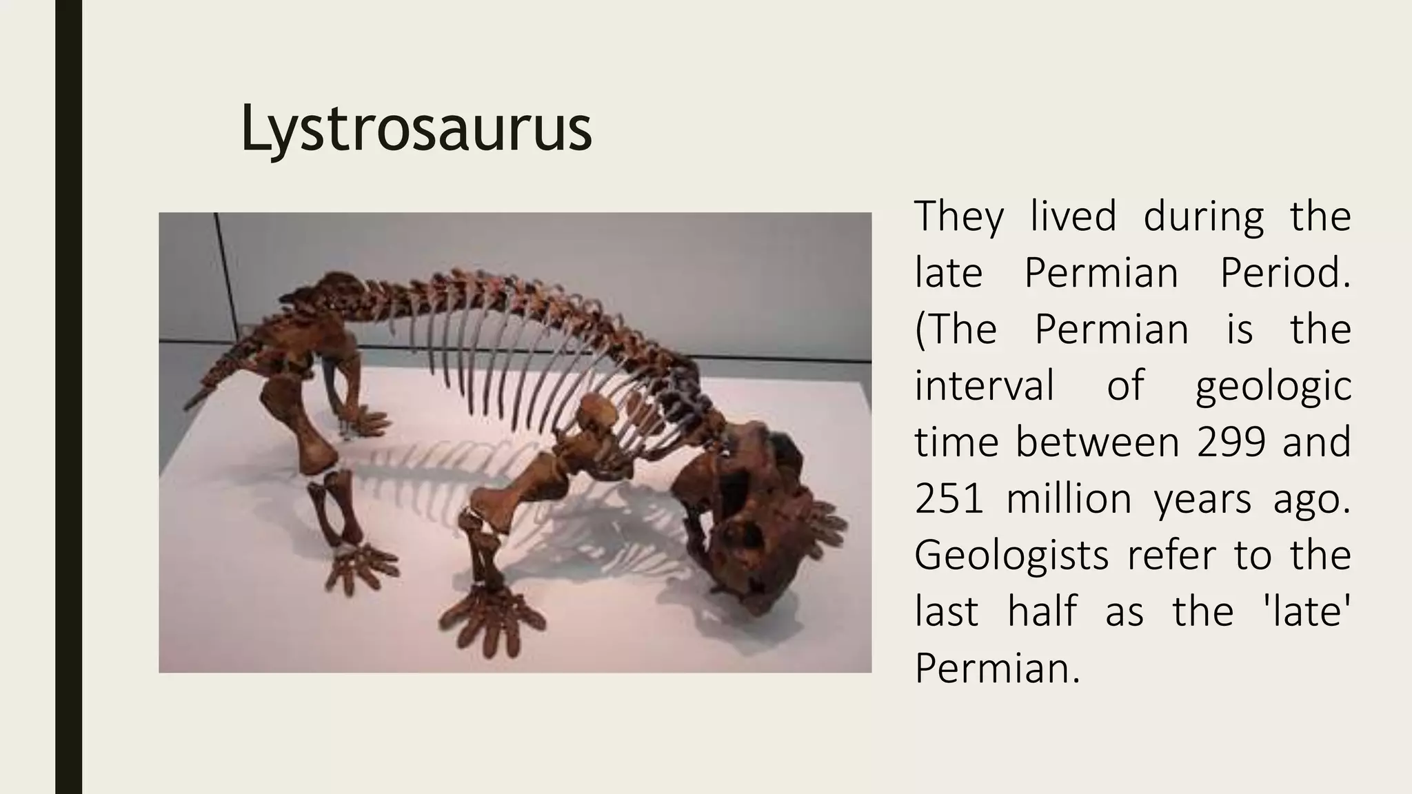 Evidence of Plate Movements.pptx