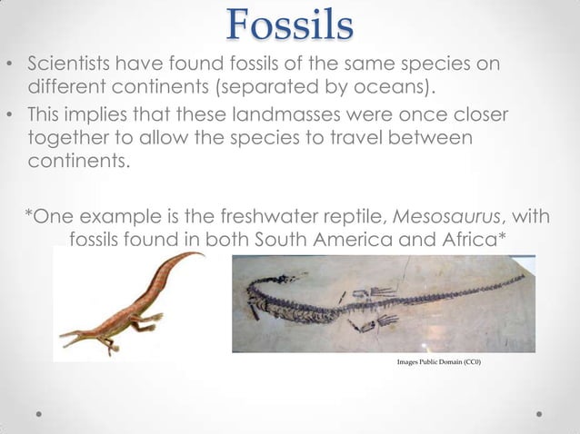 Evidence of plate tectonics | PPTX