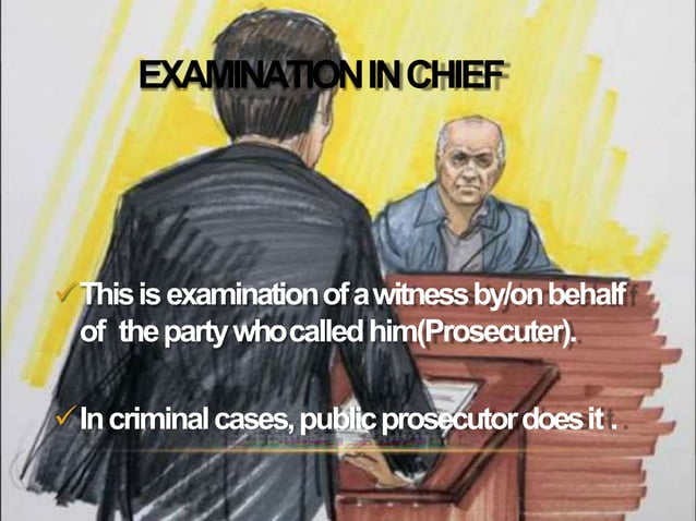Examination of Witness | PPTX | Law