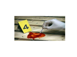 Types of Evidence | PPTX