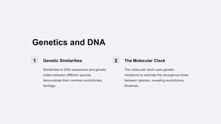 Evidences-for-Evolution.pptx