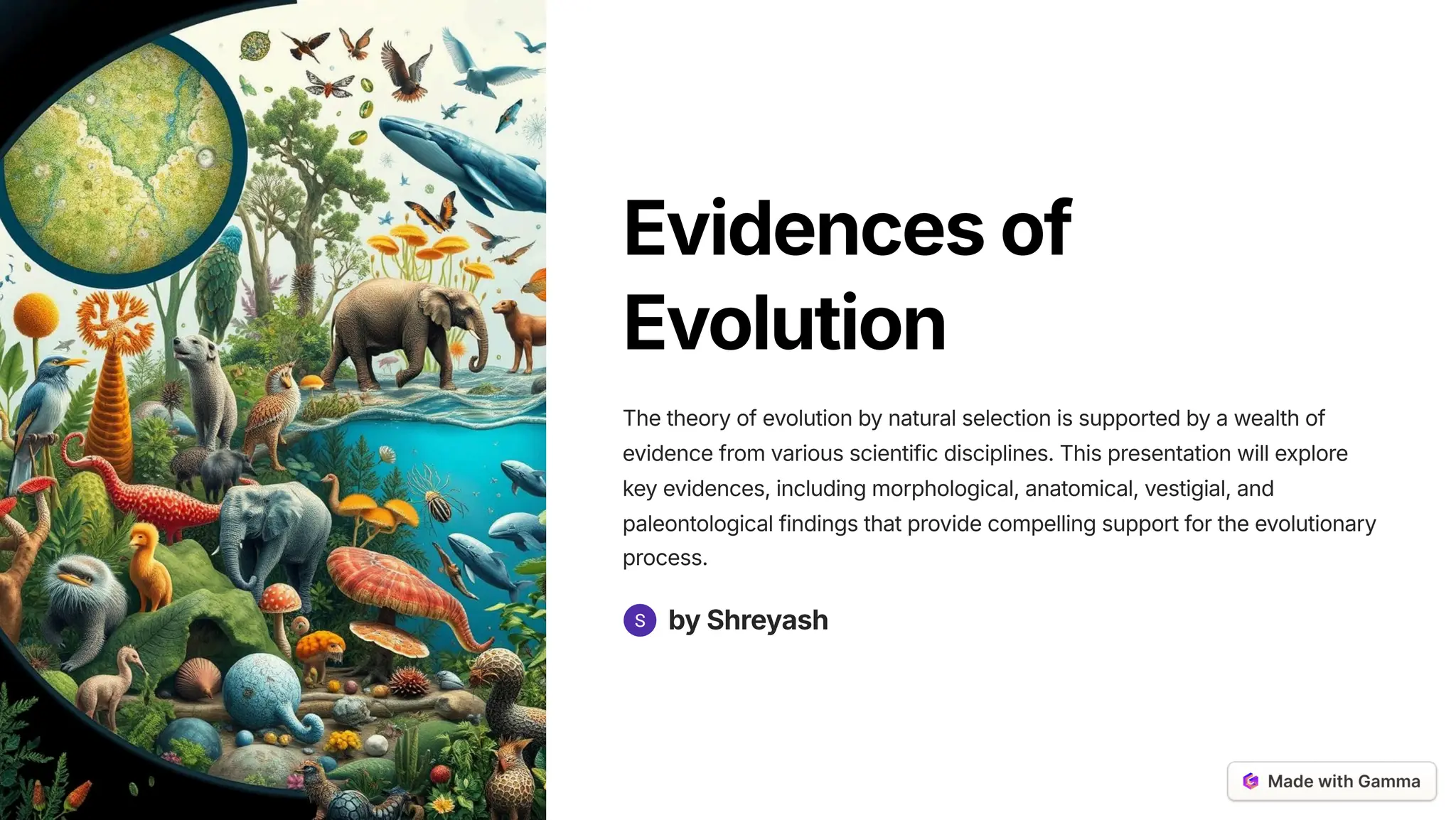 Evidences-of-Evolution,The evolution theory | PDF
