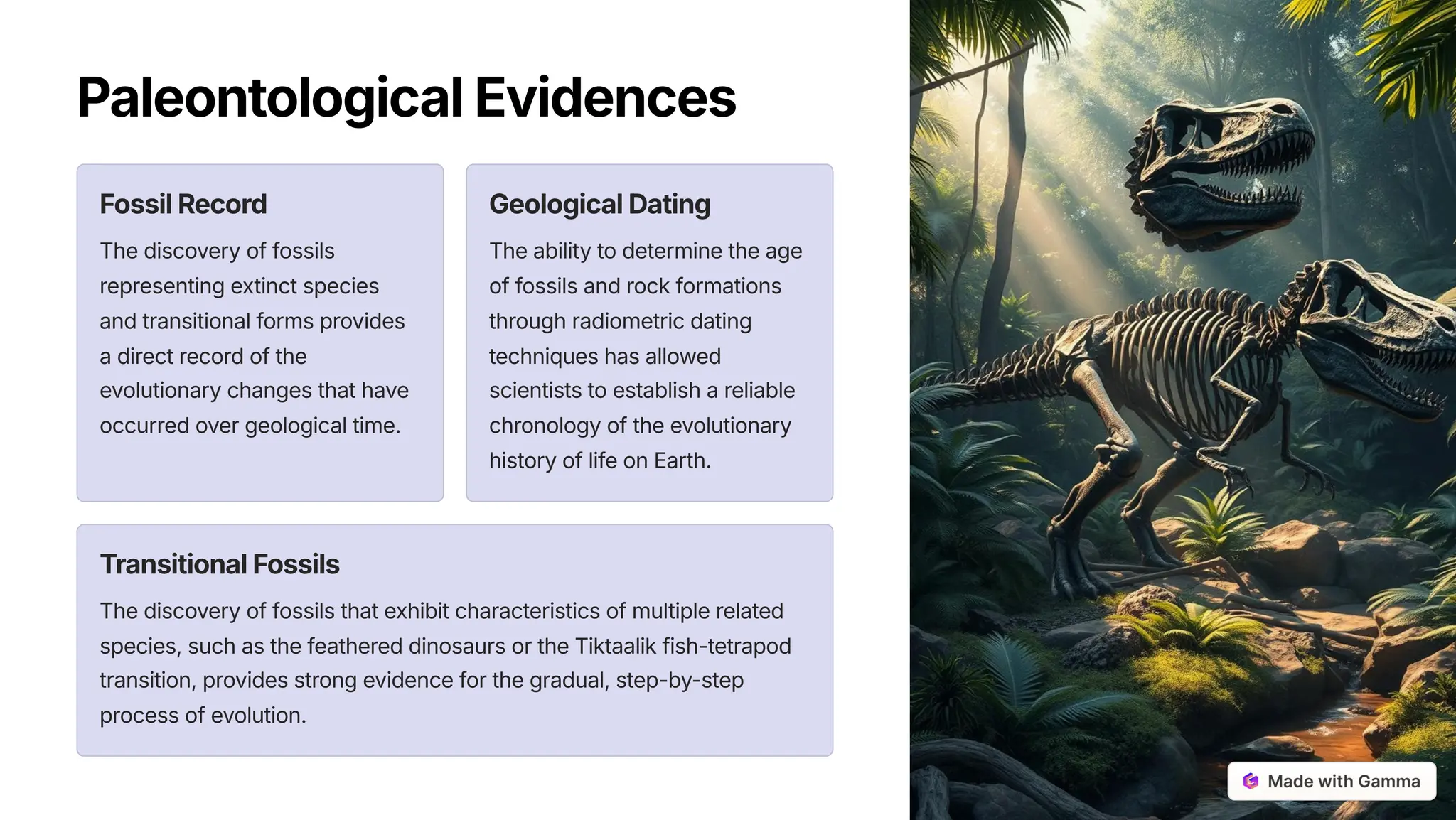 Evidences-of-Evolution,The evolution theory | PDF