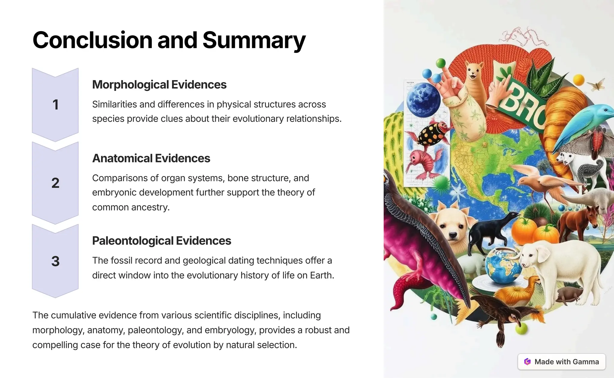 Evidences-of-Evolution,The evolution theory | PDF