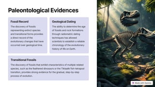 Evidences-of-Evolution,The evolution theory | PDF