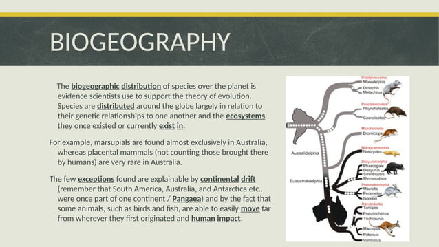 GENERAL BIOLOGY Evidences-of-Evolution-ppt.pptx