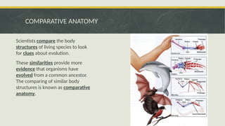 GENERAL BIOLOGY Evidences-of-Evolution-ppt.pptx