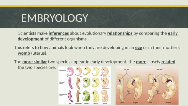 GENERAL BIOLOGY Evidences-of-Evolution-ppt.pptx