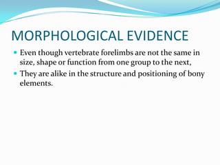 Evidences of evolution | PPTX