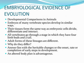 Evidences of evolution | PPTX