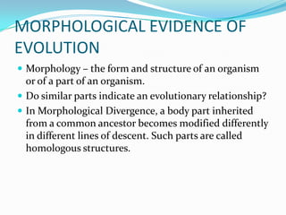 Evidences of evolution | PPTX