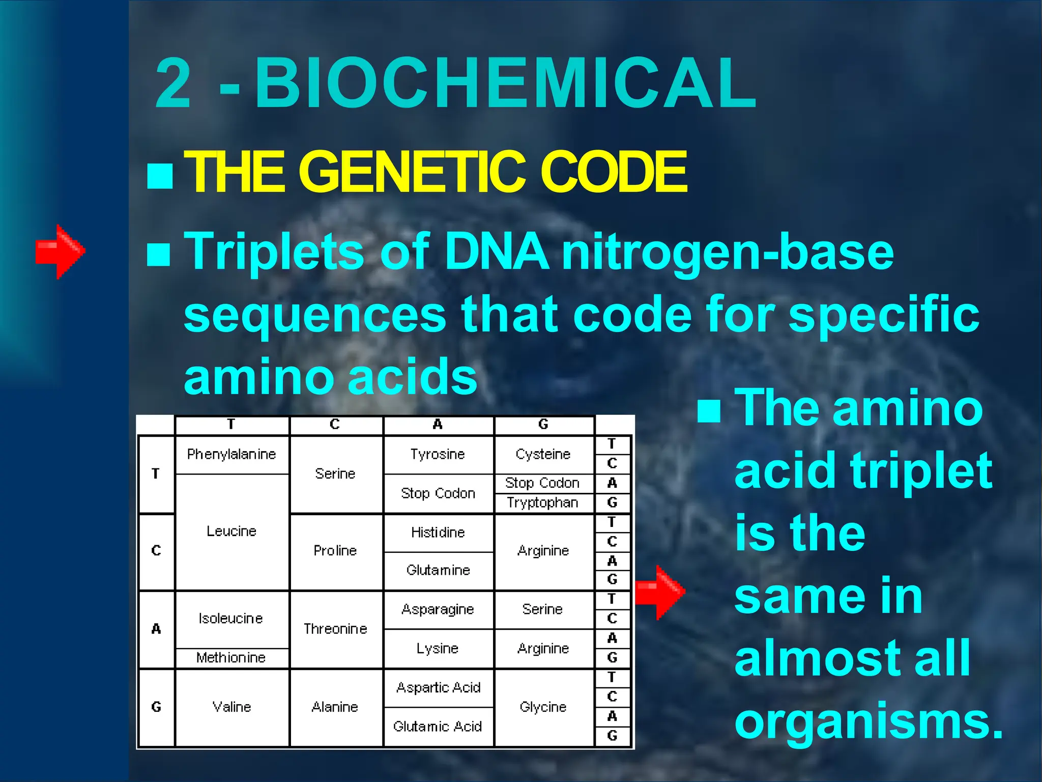 evidencesofevolution-120207073412-phpapp02.pptx