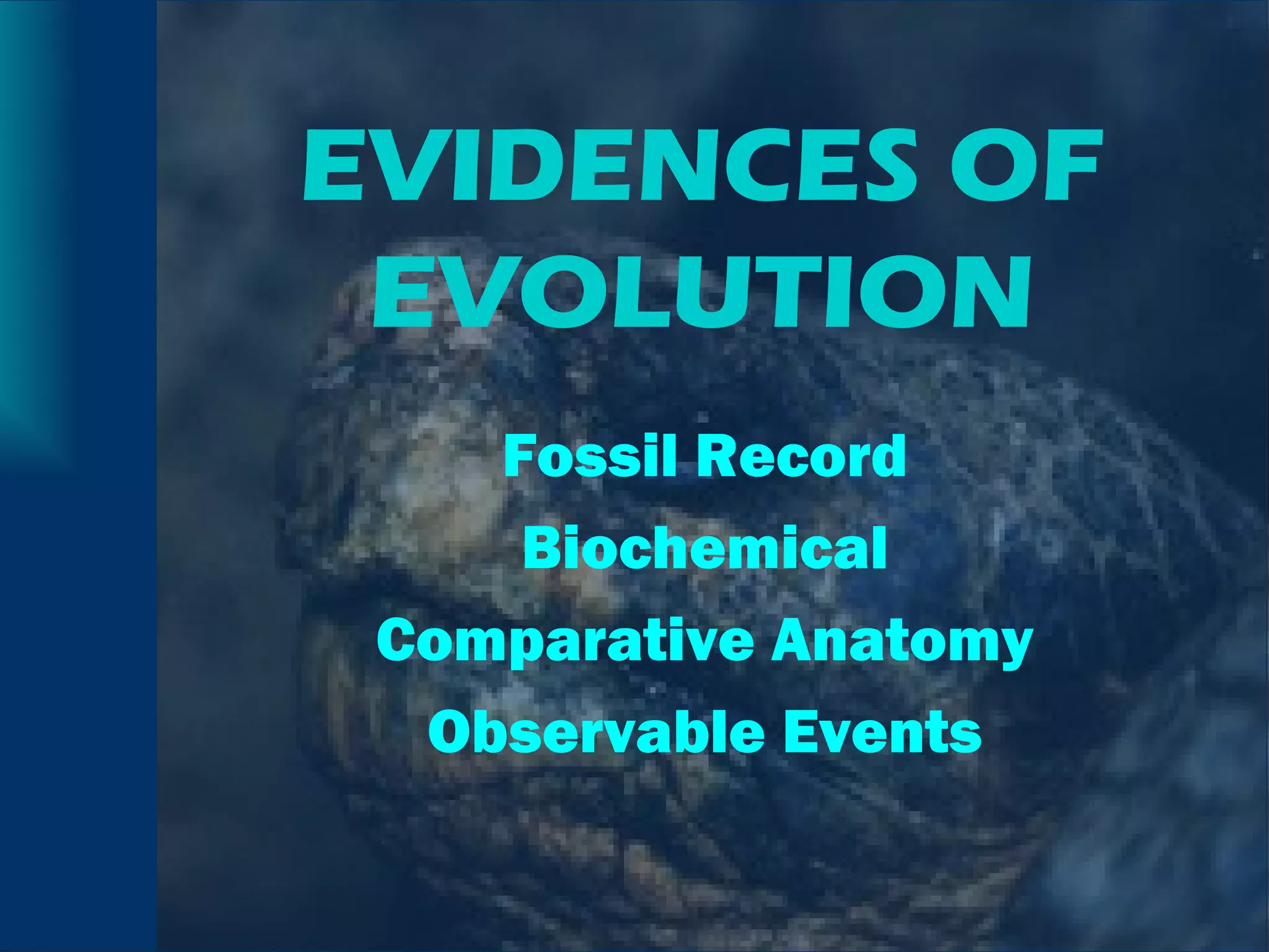 Evidences of evolution | PPT
