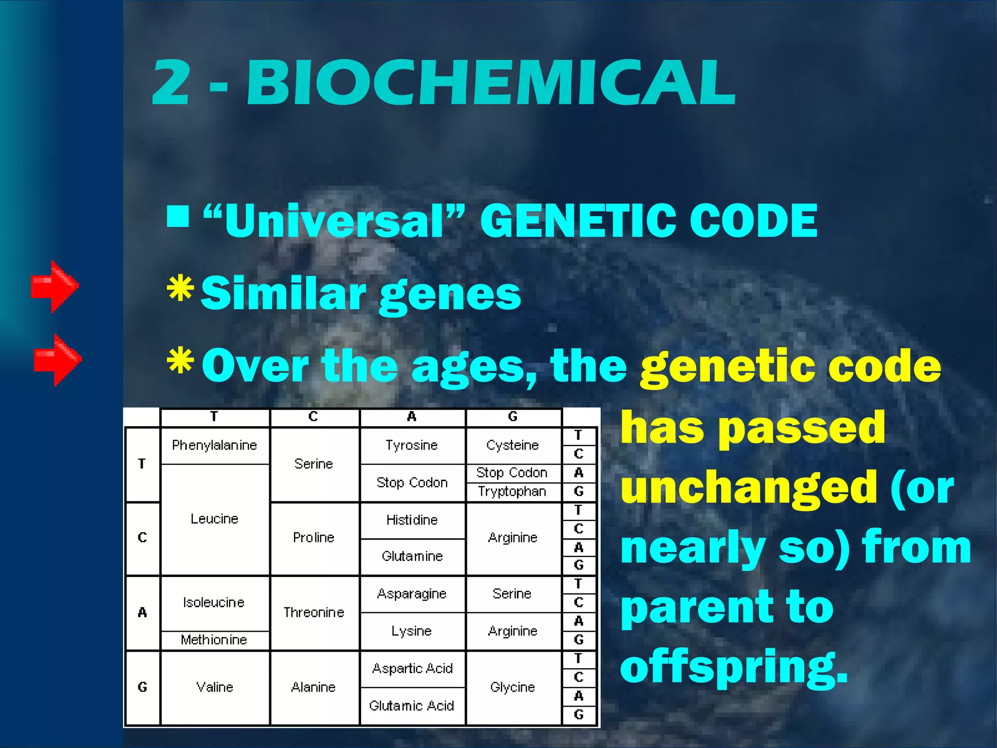 Evidences Of Evolution Ppt
