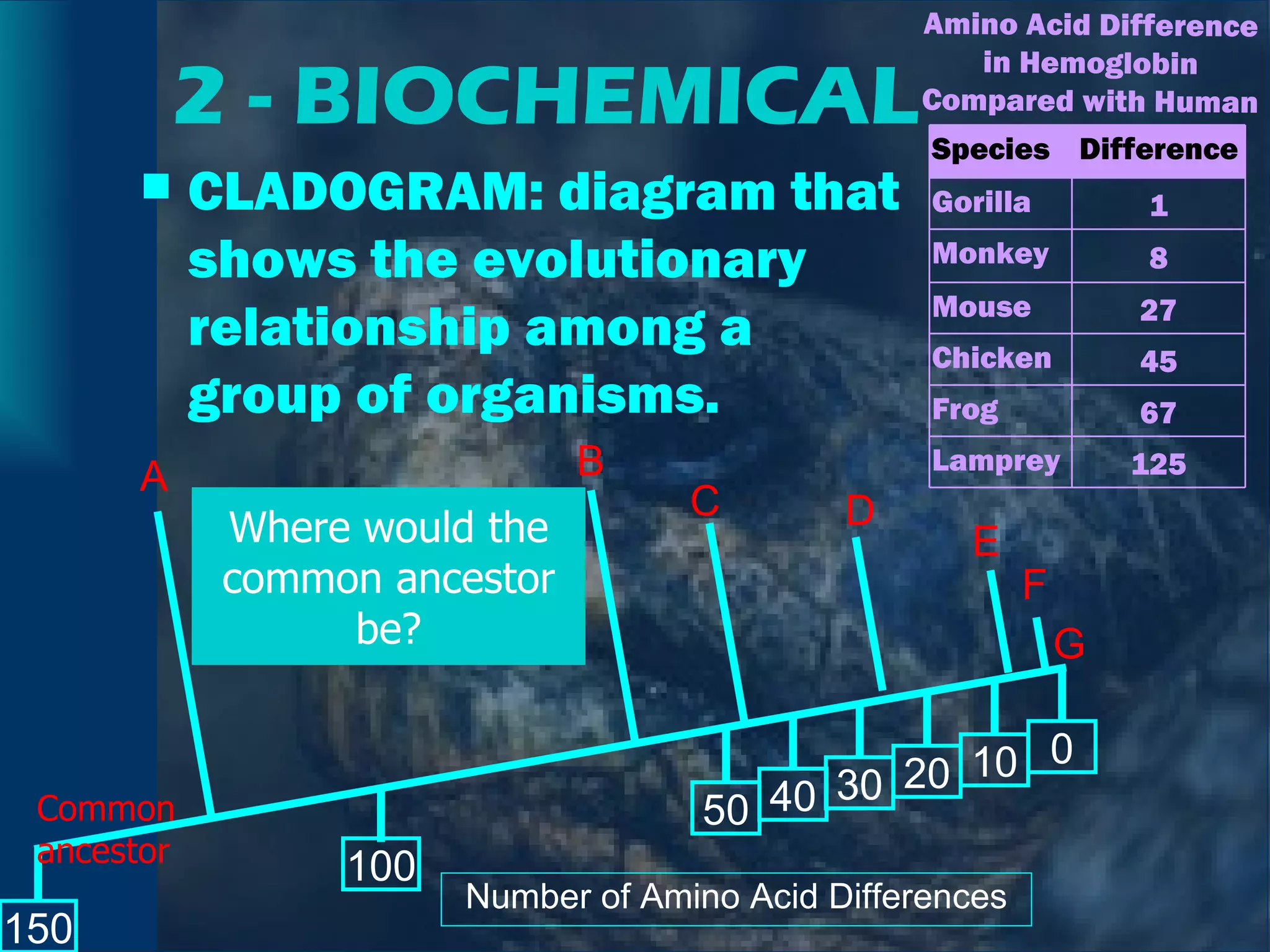 Evidences of evolution | PPT