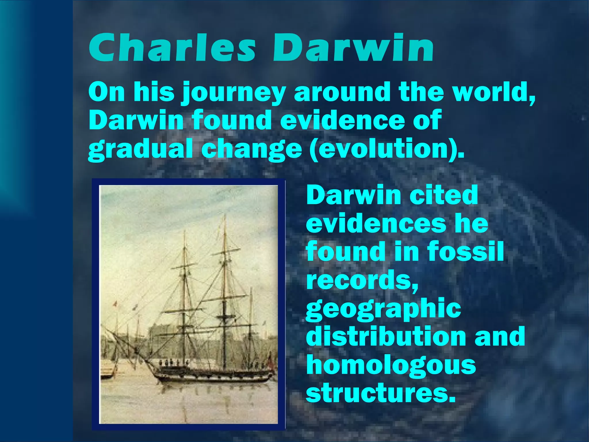 Evidences of evolution | PPT