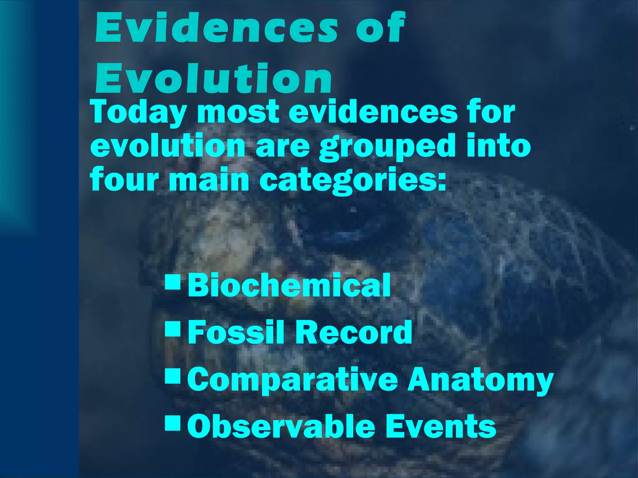 Evidences of evolution | PPT