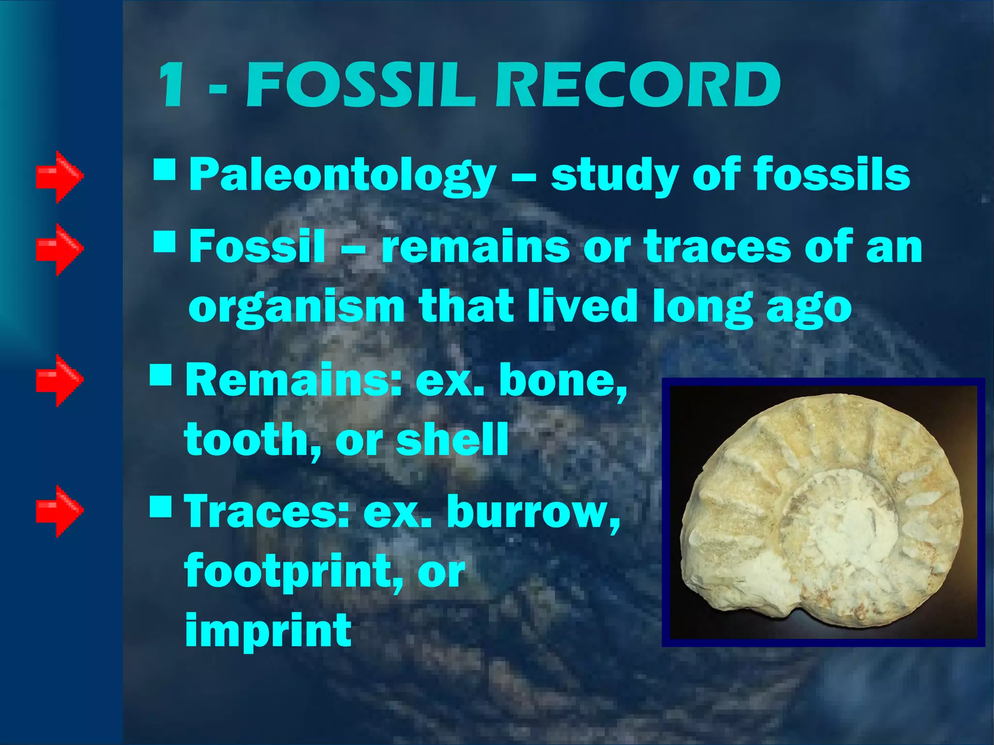Evidences of evolution | PPT