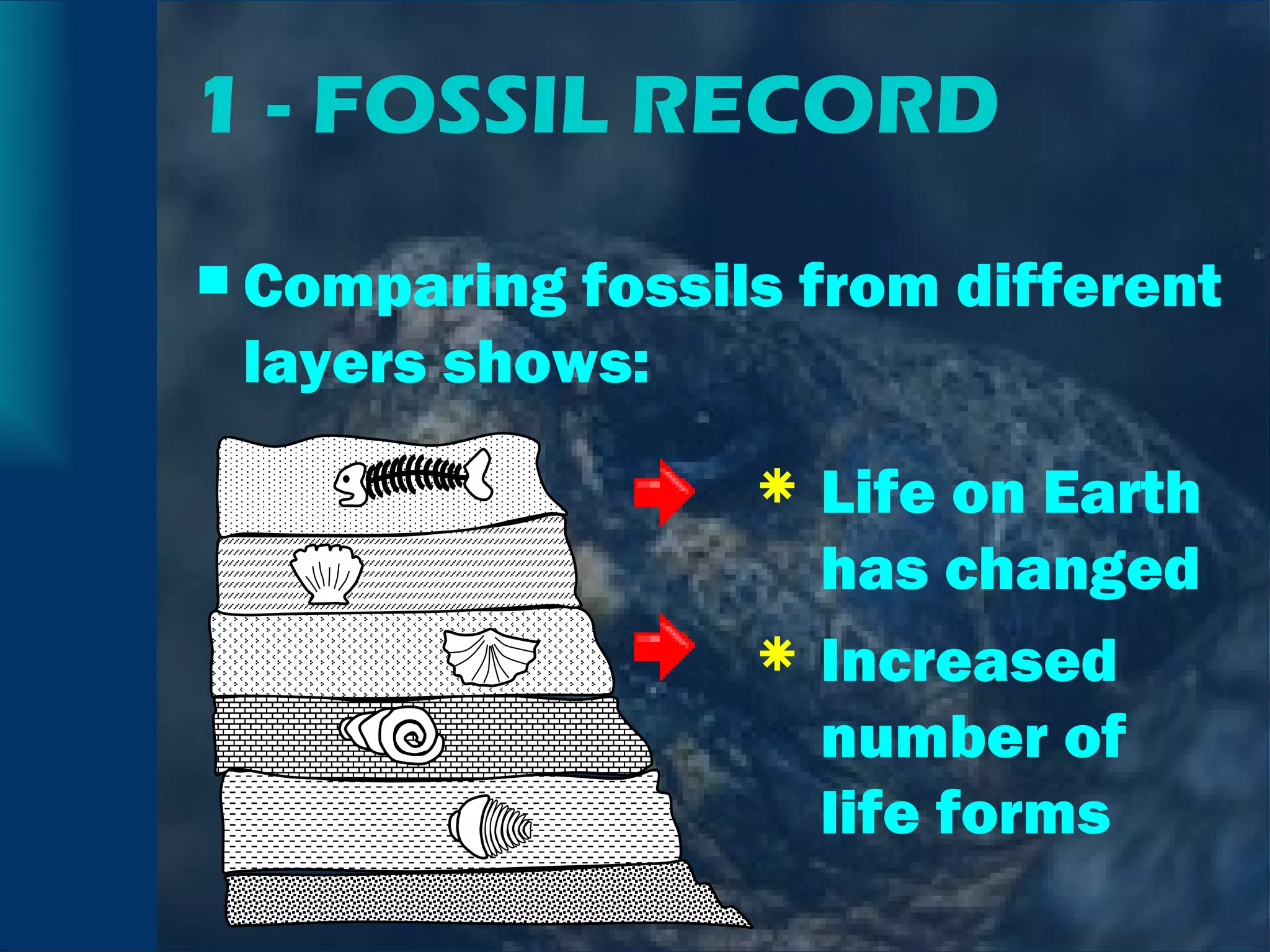 Evidences of evolution | PPT