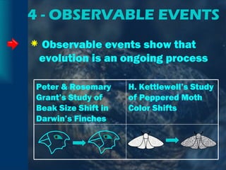 Evidences of evolution | PPT