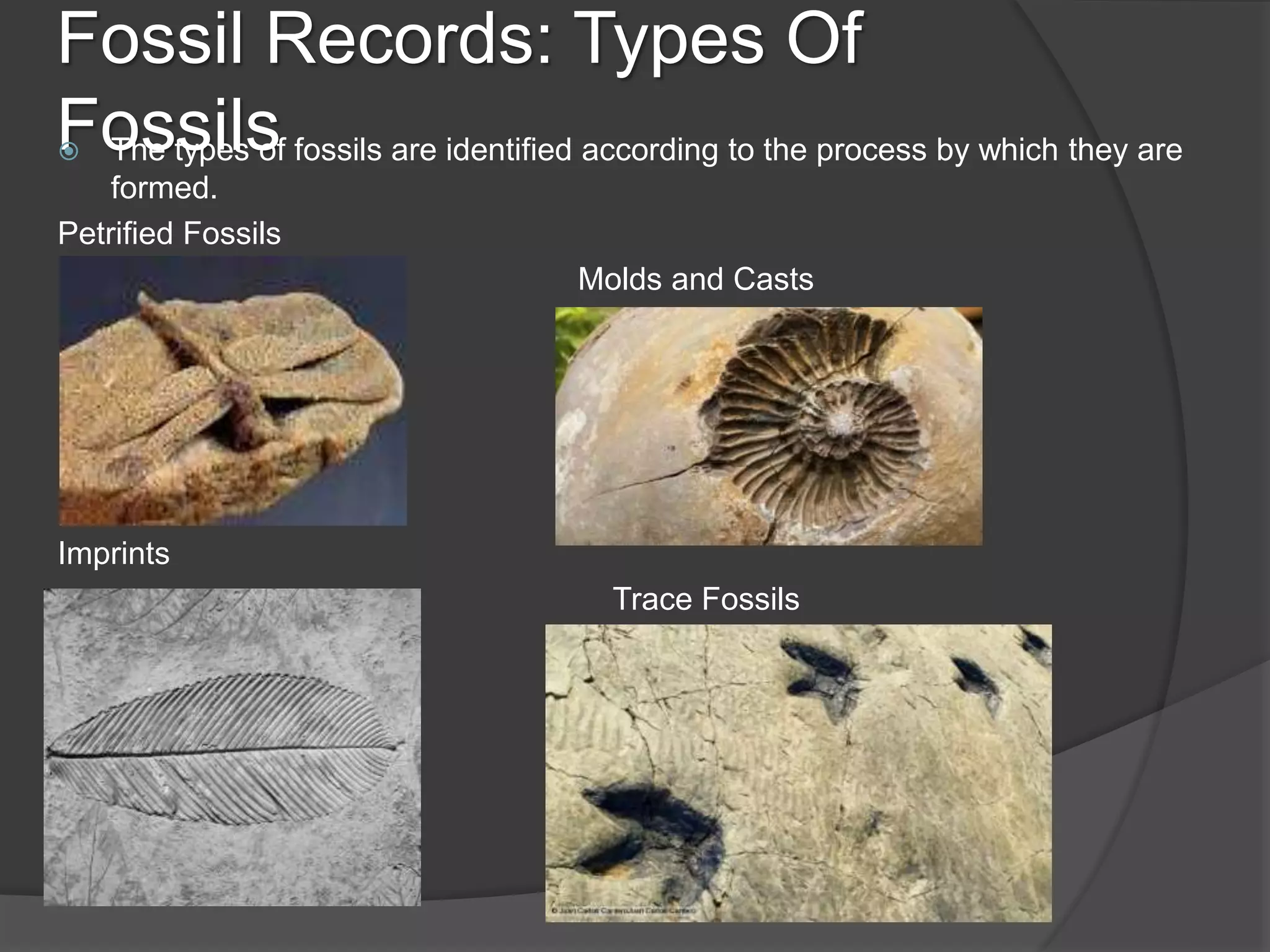 Evidences of evolution | PPTX