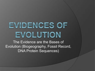 Evidences of evolution | PPTX