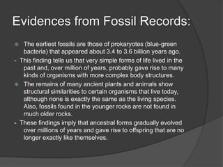 Evidences of evolution | PPTX