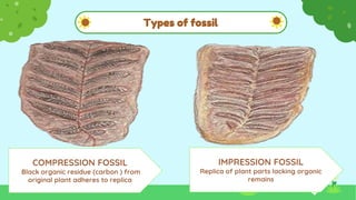 Grade 10 Science Week 6 | PPTX