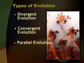 Evidences of Evolution.pptx