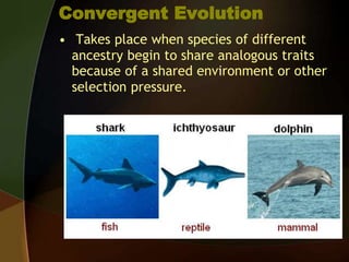 Evidences of Evolution.pptx