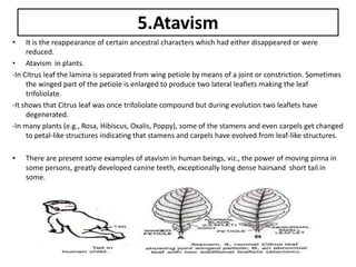 Evidences of evolution from patterns of development | PPT