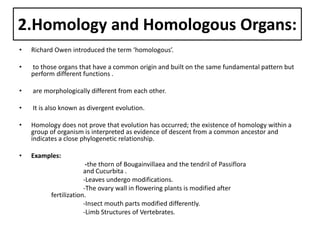 Evidences of evolution from patterns of development | PPT
