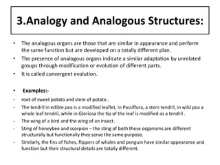 Evidences of evolution from patterns of development | PPT