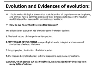 Evidences of evolution from patterns of development | PPT
