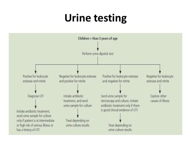 Evidence Update in UTI