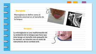 Evidencia EMBRIOLOGIA.pptx