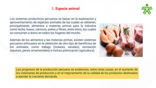 Evidencia GA6-270501090-AA1-EV02. Video explicativo sobre procesos de ...