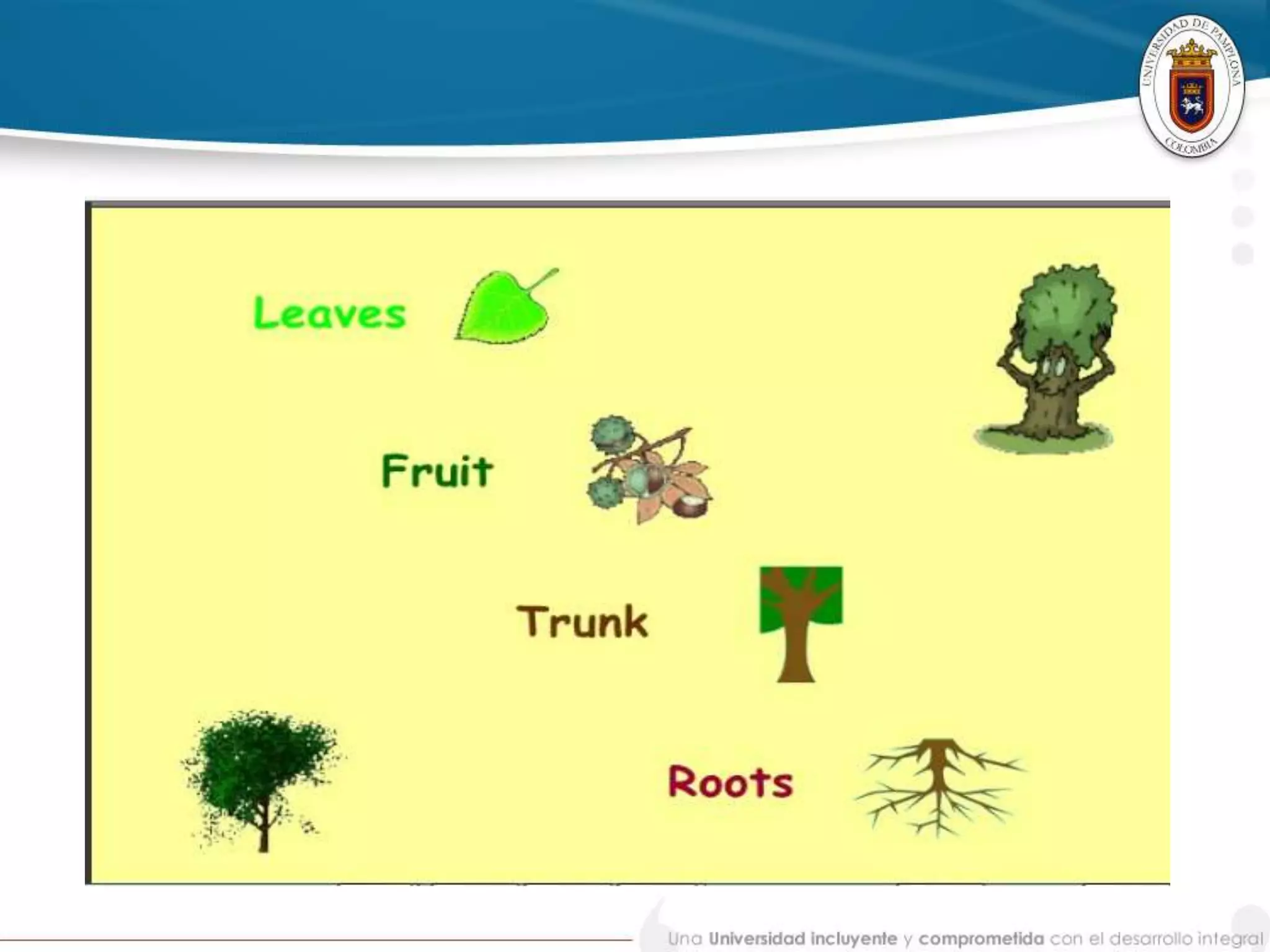 EVIDENCIA: MINI FAMILY TREE PROJECT 2° C | PPTX