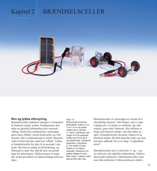 Evig energi? - Brænselceller og brintsamfund | PDF