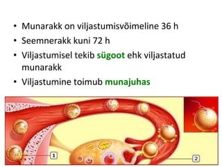 Viljastumine | PPT